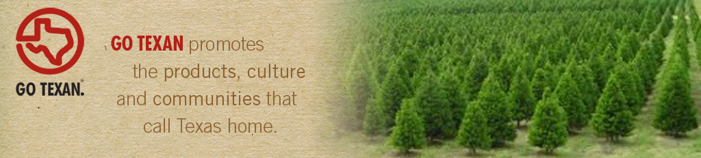 Home [www.gotexan.org]